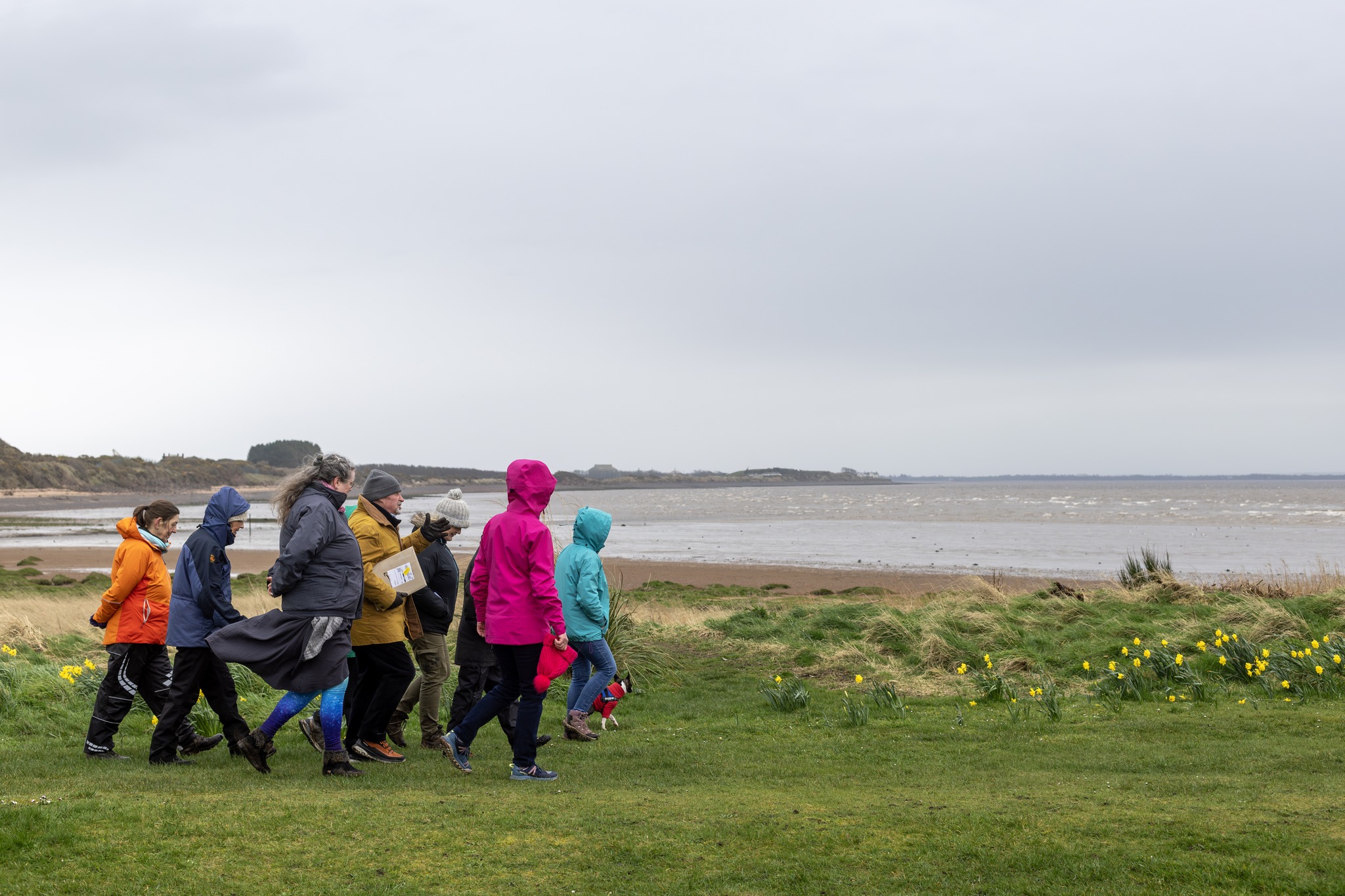 News and Events - Solway Coast and Marine Project (SCAMP)